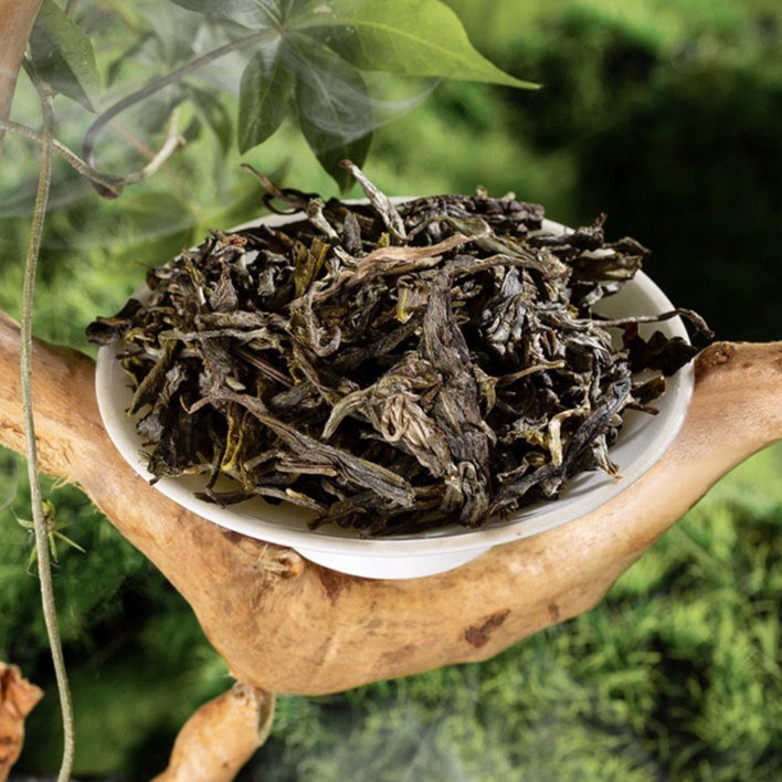 2024 ChenShengHao "Lao Ban Zhang" (LaoBanzhang) Cake 357g Puerh Raw Te