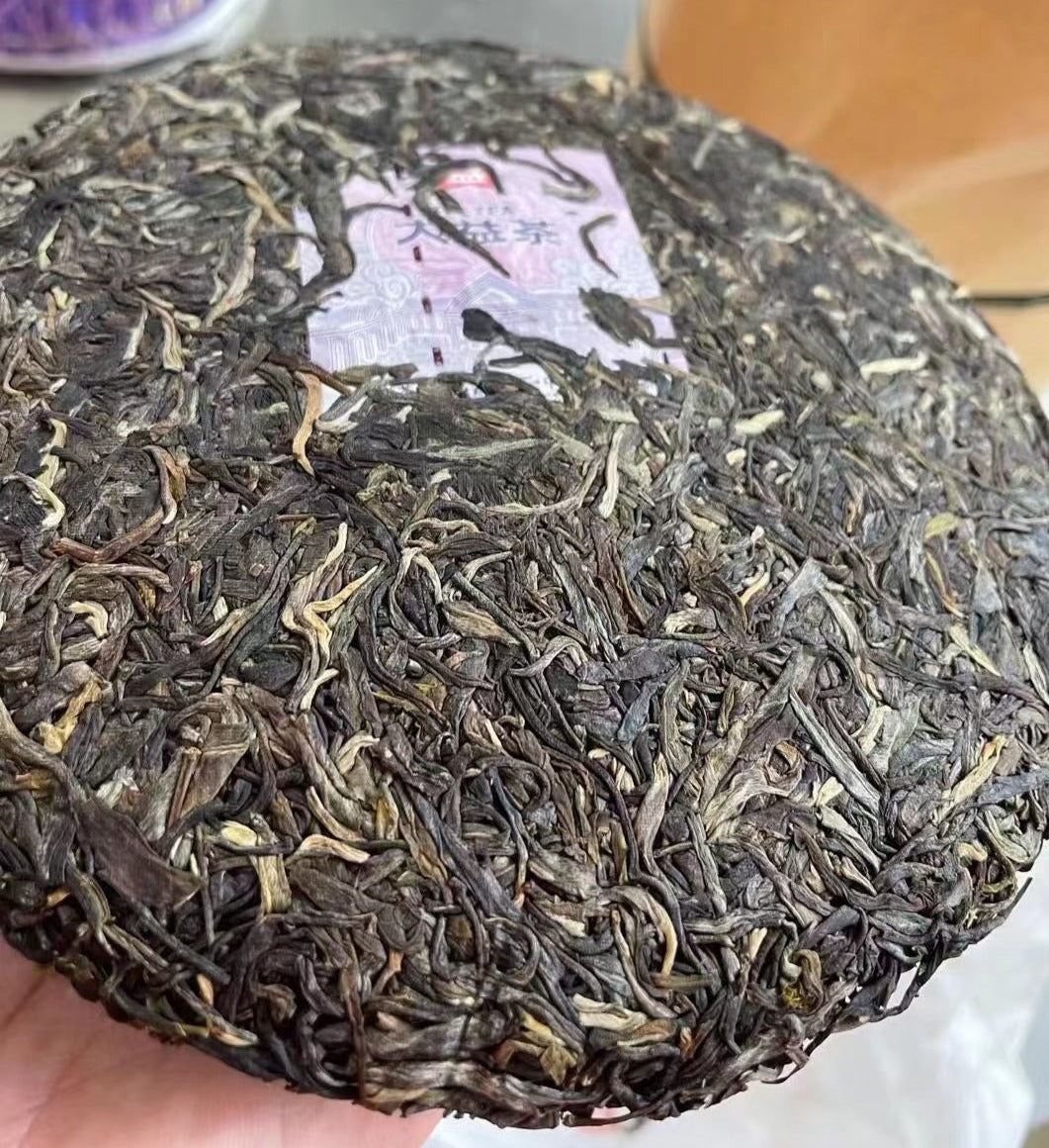 2022 DaYi "Long Zhu" (Dragon Pillar) Cake 357g Puerh Sheng Cha Raw Tea