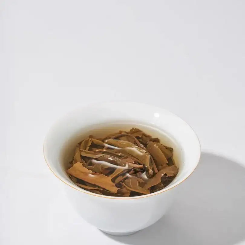 2025 DaYi "Yuan Sheng Gu Cha Yuan - Da 2" (Primal Ancient Tea Garden