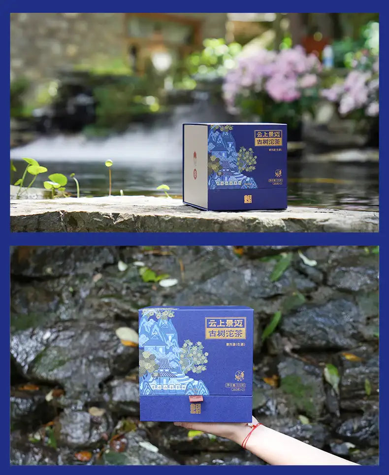2025 XiaGuan "Yun Shang Jing Mai - Gu Shu Tuo Cha" (Jingmai Mountain