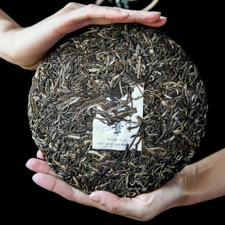 2021 Xiaguan "Hua Zhang" (Gorgeous Chapter - Banzhang Tea Region ) Cak